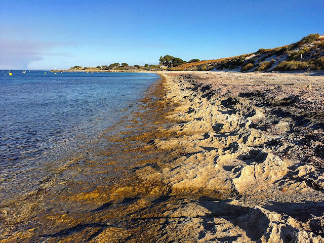 Philip Point Sand Dune - Rottnest Island - Travel is my favorite Sport