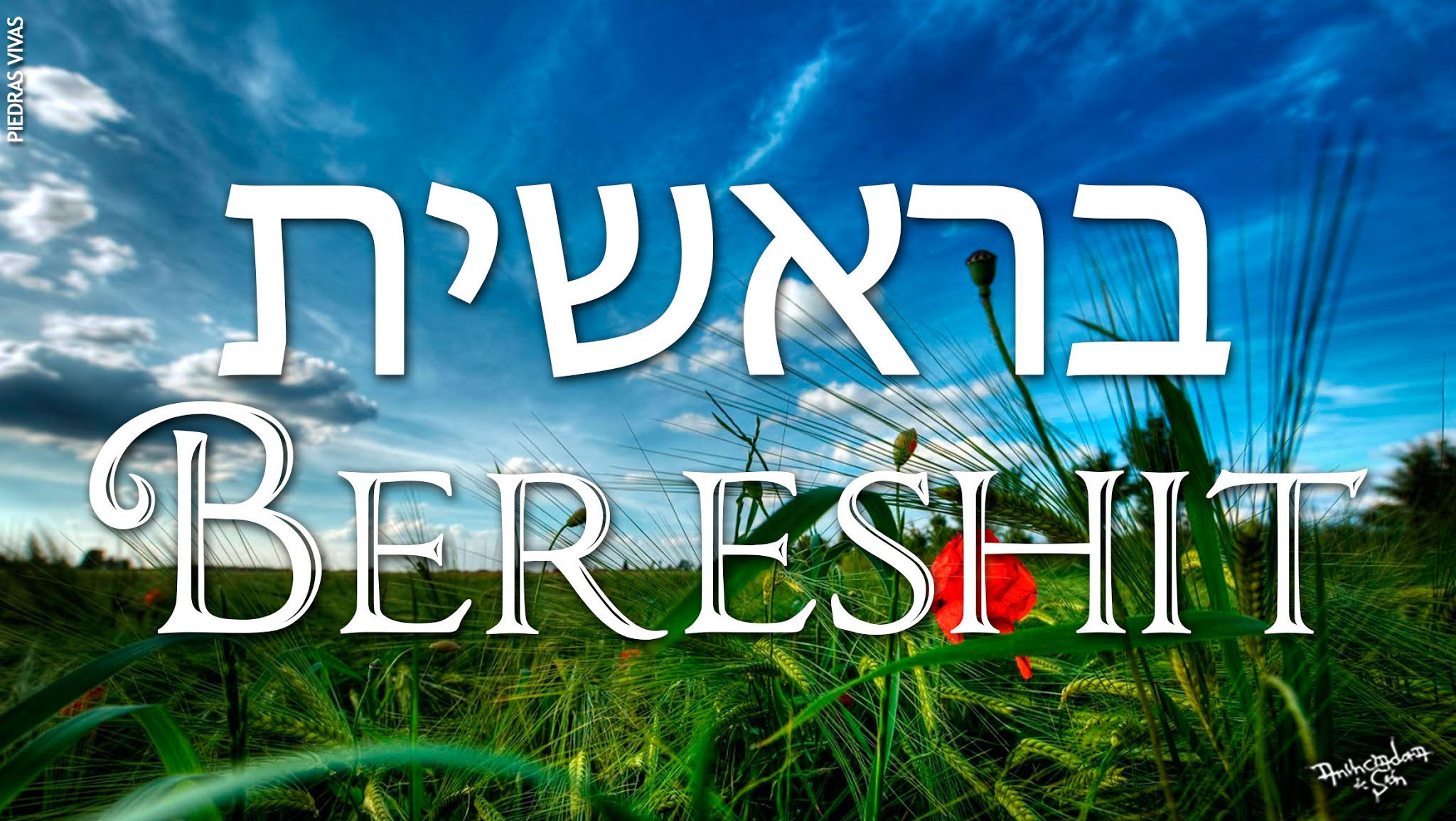 PIEDRAS VIVAS: CLE01