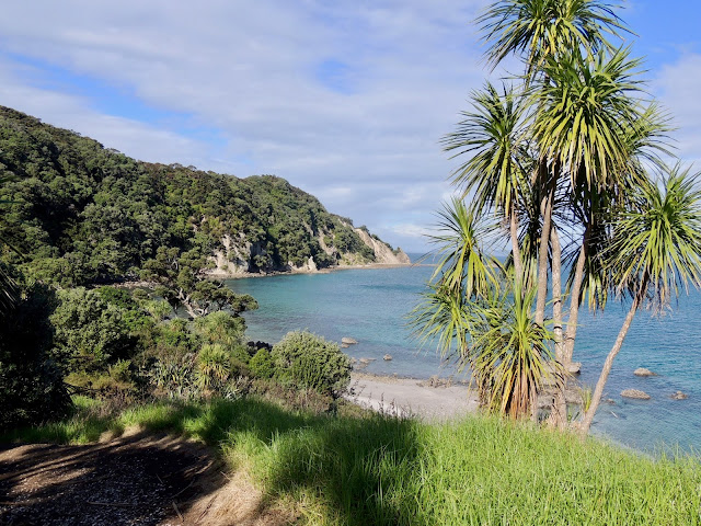 THE ROAD TAKEN : Busby Head Track