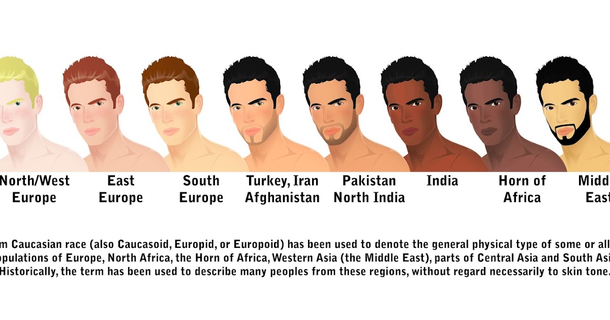 ΦΥΛΕΤΙΚΑ: Η οικογένεια των Ευρωπιδικών