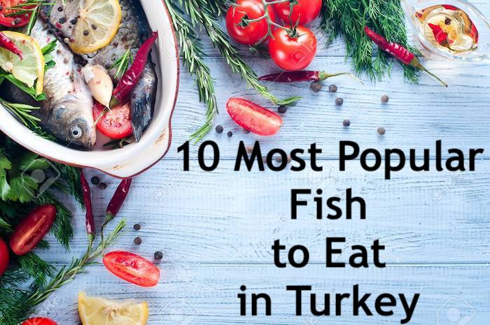 10 Most Popular Fish to Eat in Turkey