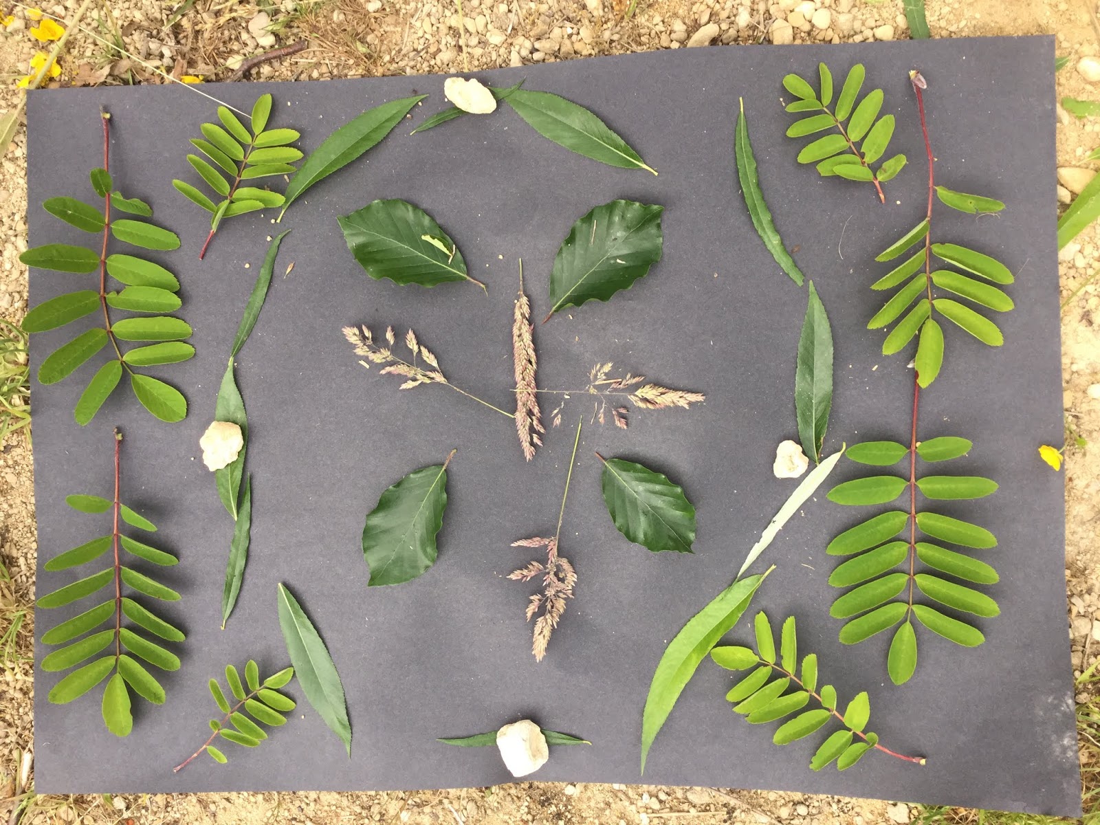 More Andy Goldsworthy inspired Art