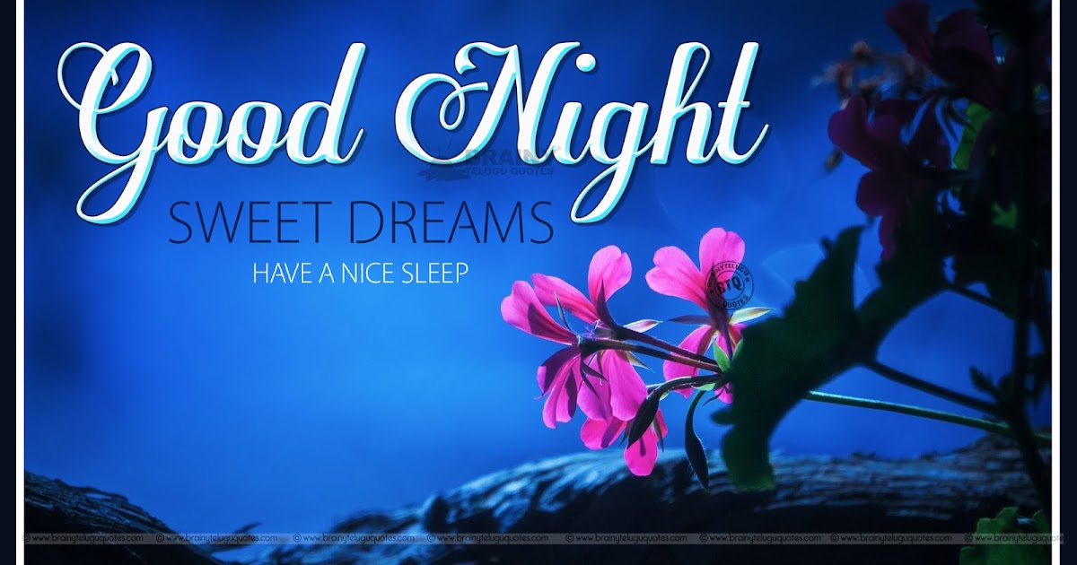 Good Night Wishes In English Beautiful Flower With Good Night English good-night-wishes-in-english-beautiful-flower-with-good-night-english