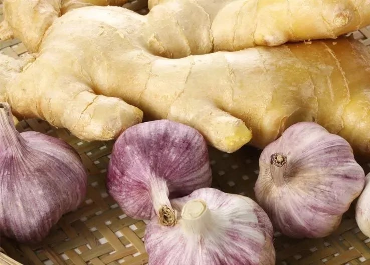 Top 15 health benefits of ginger and garlic mixture - Zobgymarku Blog