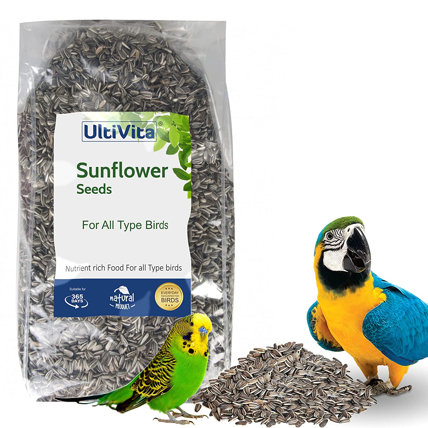 Top 5 Seeds For Cockatiel | Are Sunflower Seeds Good For Cockatiels