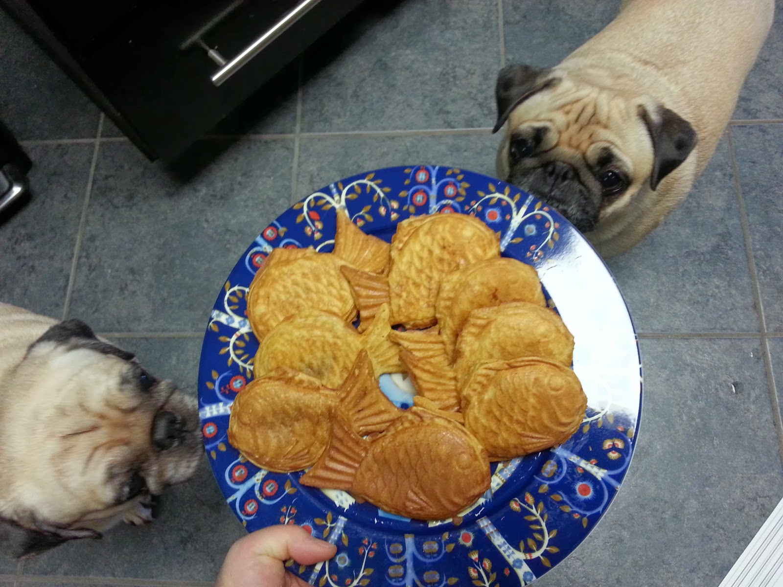Grubbin' Pugs: Pancakes/Waffles with Dark Chocolate and Coconut Pudding ...