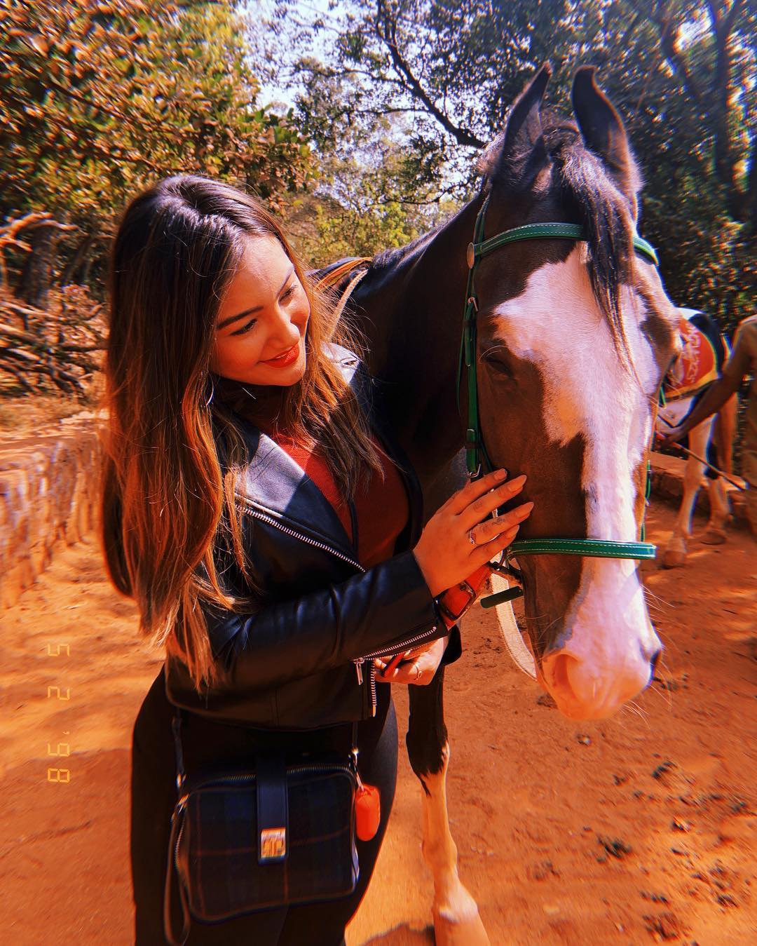 Aashika Bhatia | Wallpaper | Images | Pic Hd | Photo | Image Hd ...