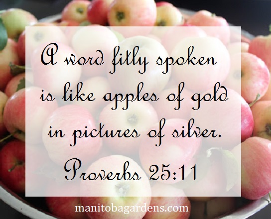 Living Our Lives Well: Scripture Picture Sunday # 33, Proverbs 25:11