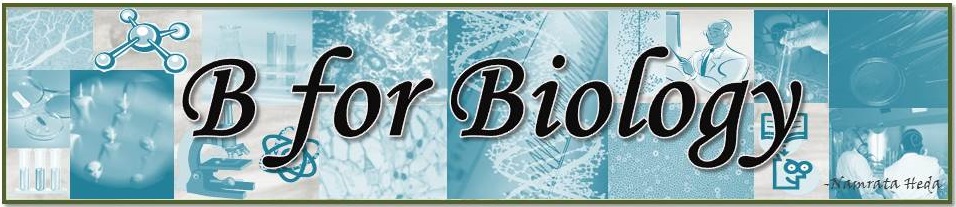 B for Biology: Biomolecules of Cell - Proteins (Amino Acids)