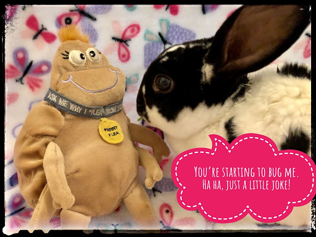 Mrs. Brighton's Busy Life