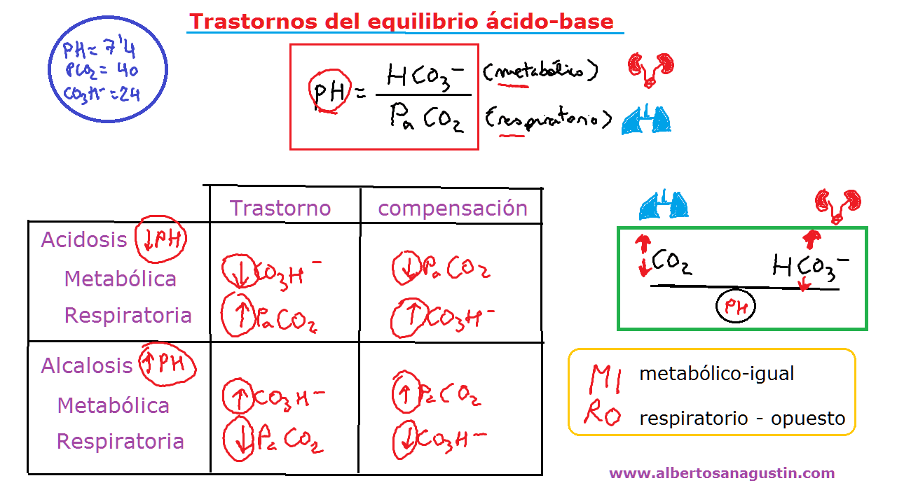 Cómo memorizar los trastornos del equilibro ácido-base | Dr. Alberto ...