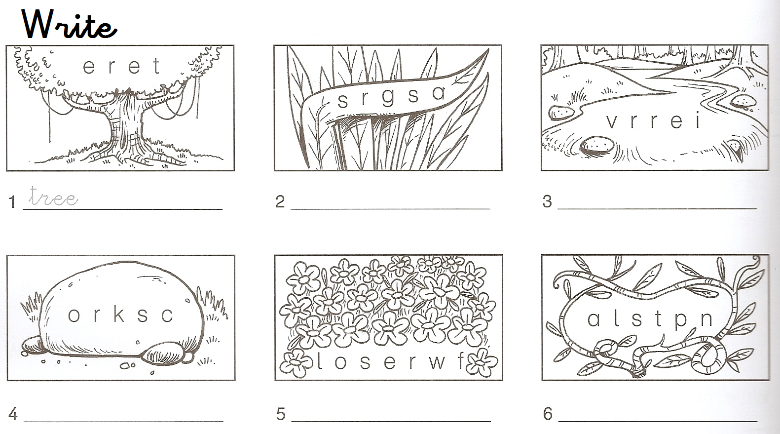 It's Teaching Time: 3rd grade Primary: The animals