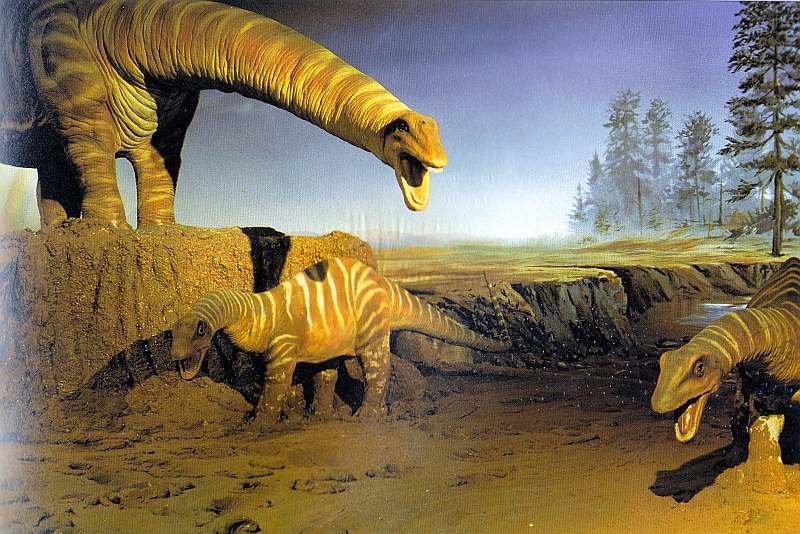 Love in the Time of Chasmosaurs: Vintage Dinosaur Bots: Dinamation's ...