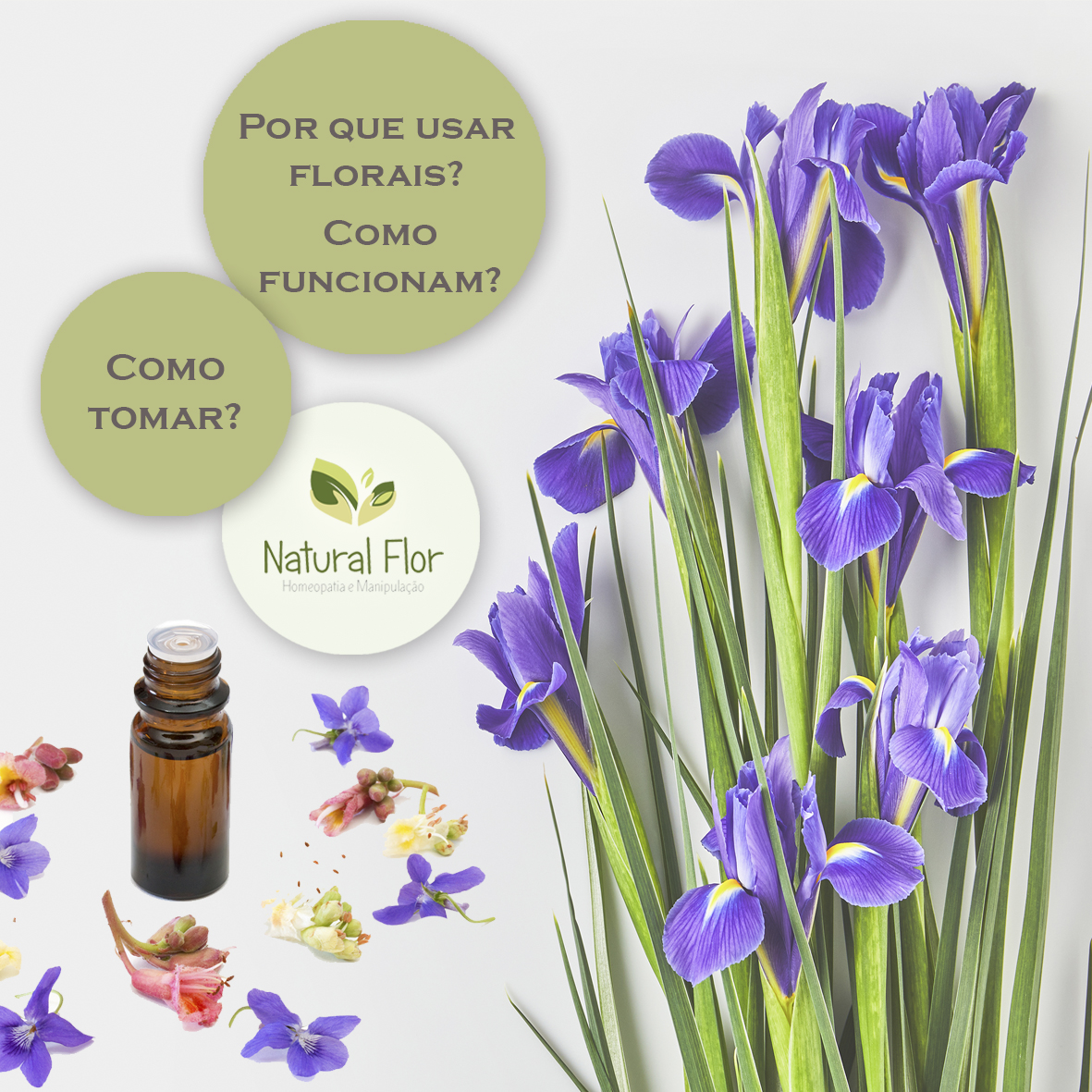 A importância dos florais na nossa saúde