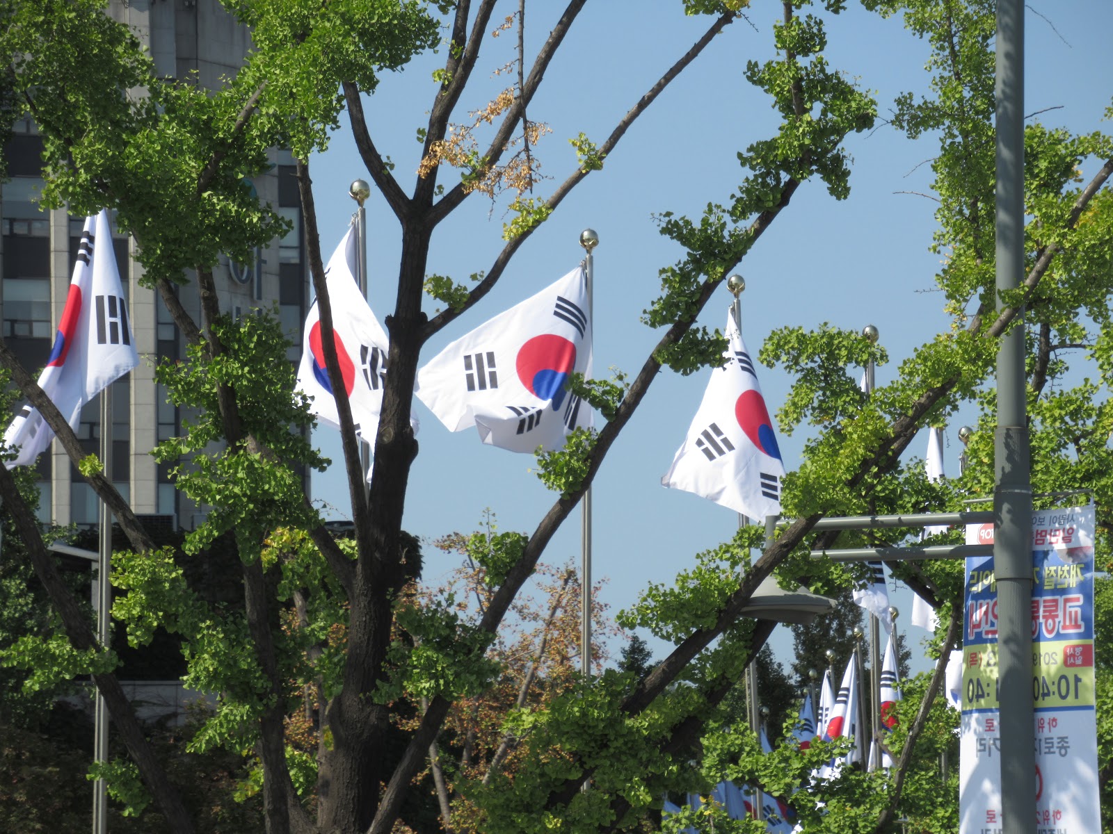 Viajar a Corea del Sur: 13 cosas que debes preparar antes de viajar ...