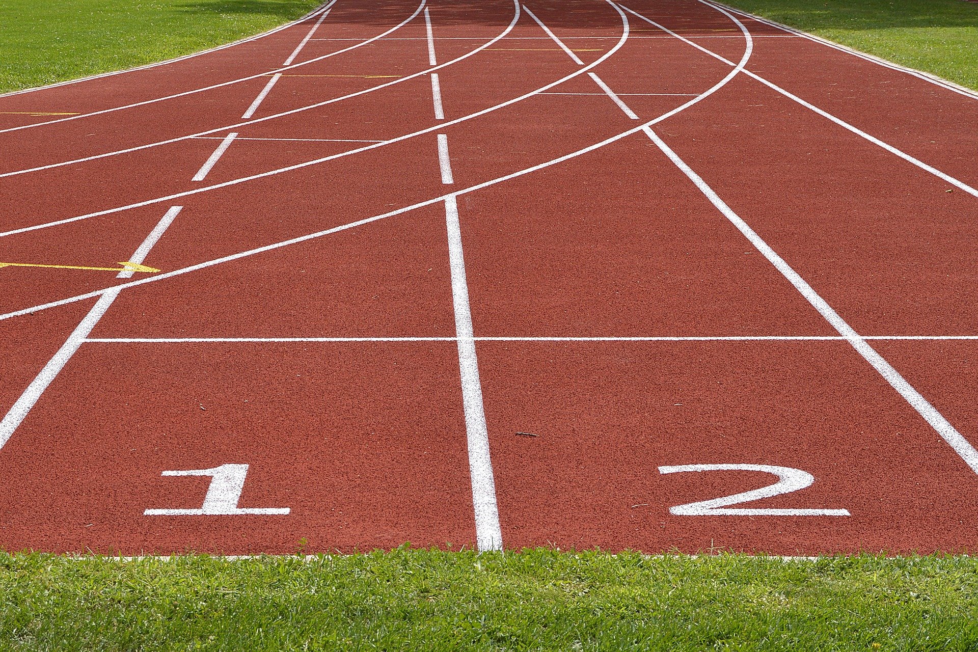 The Race To Financial Independence The Race To Financial Independence