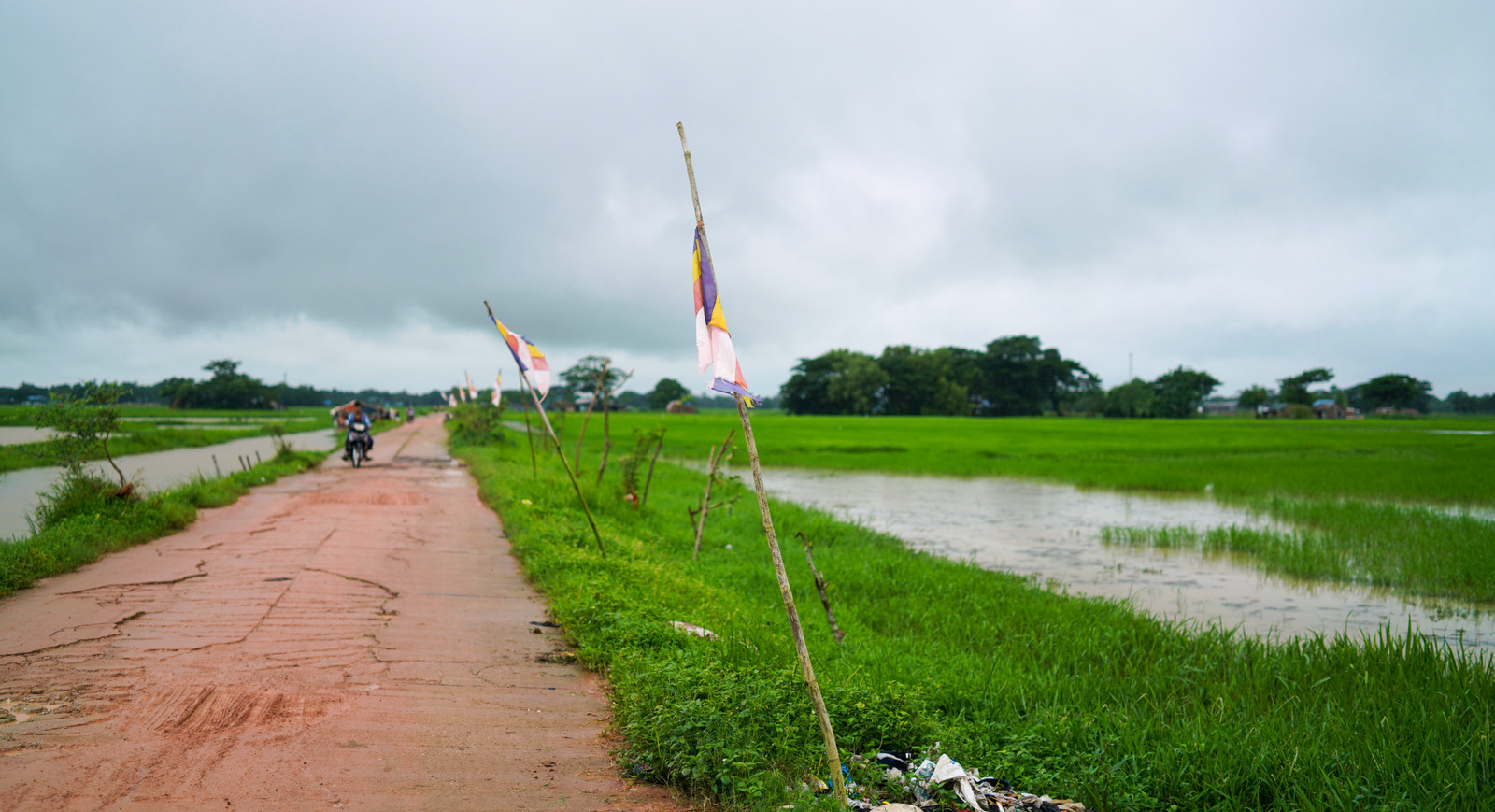 Eat Drink KL | Myanmar Rice