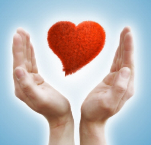 Psicoterapia Humanista a Tu Alcance: Siento, luego existo: AFECTO