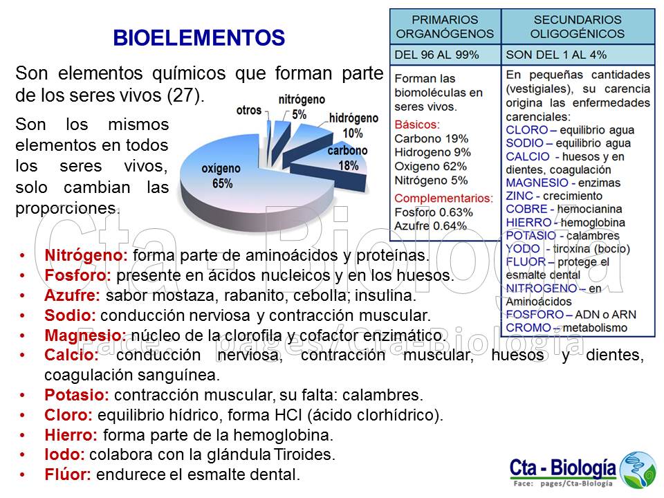 Biología didáctica: NSC 4° - Bioelementos, Agua
