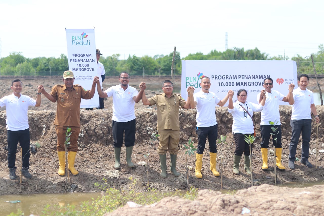 Lestarikan Lingkungan, PLN Tanam Ribuan Mangrove | Metrokampung.com Lestarikan Lingkungan, PLN Tanam Ribuan Mangrove | Metrokampung.com