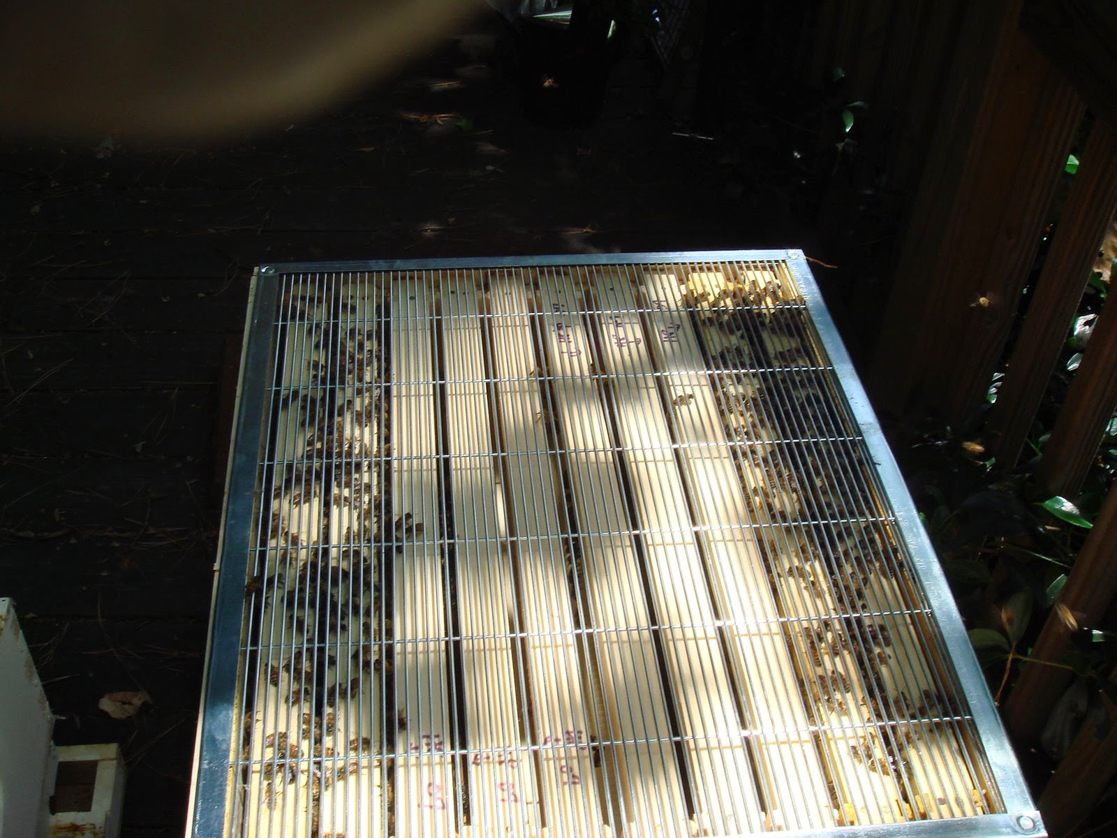 Linda's Bees: Three Good Uses for the Queen Excluder