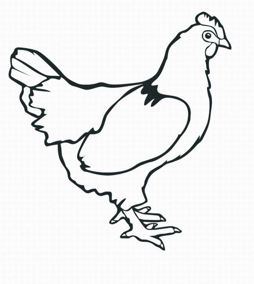 La gradinita: PLANSE DE COLORAT