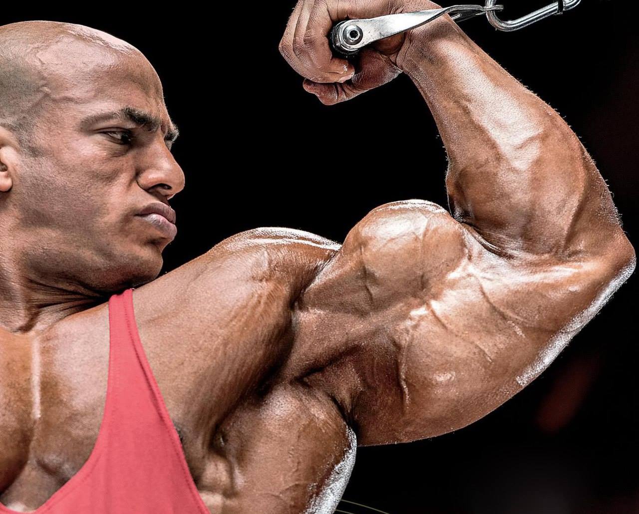 Biceps & Biceps by IFBB Pro Mamdouh "Big Ramy" Elssbiay