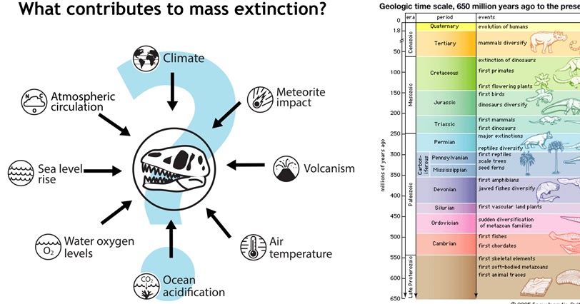 CONCEPT – THE SIXTH EXTINCTION | PT's IAS Academy