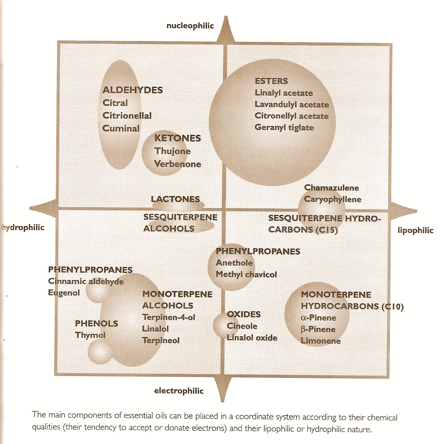 Renew: Essential Oils 301: Chemical Properties