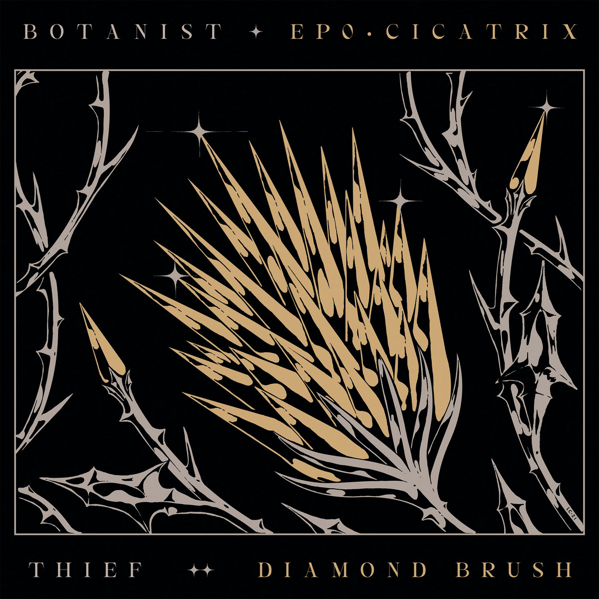 Détails et extrait du split BOTANIST / THIEF