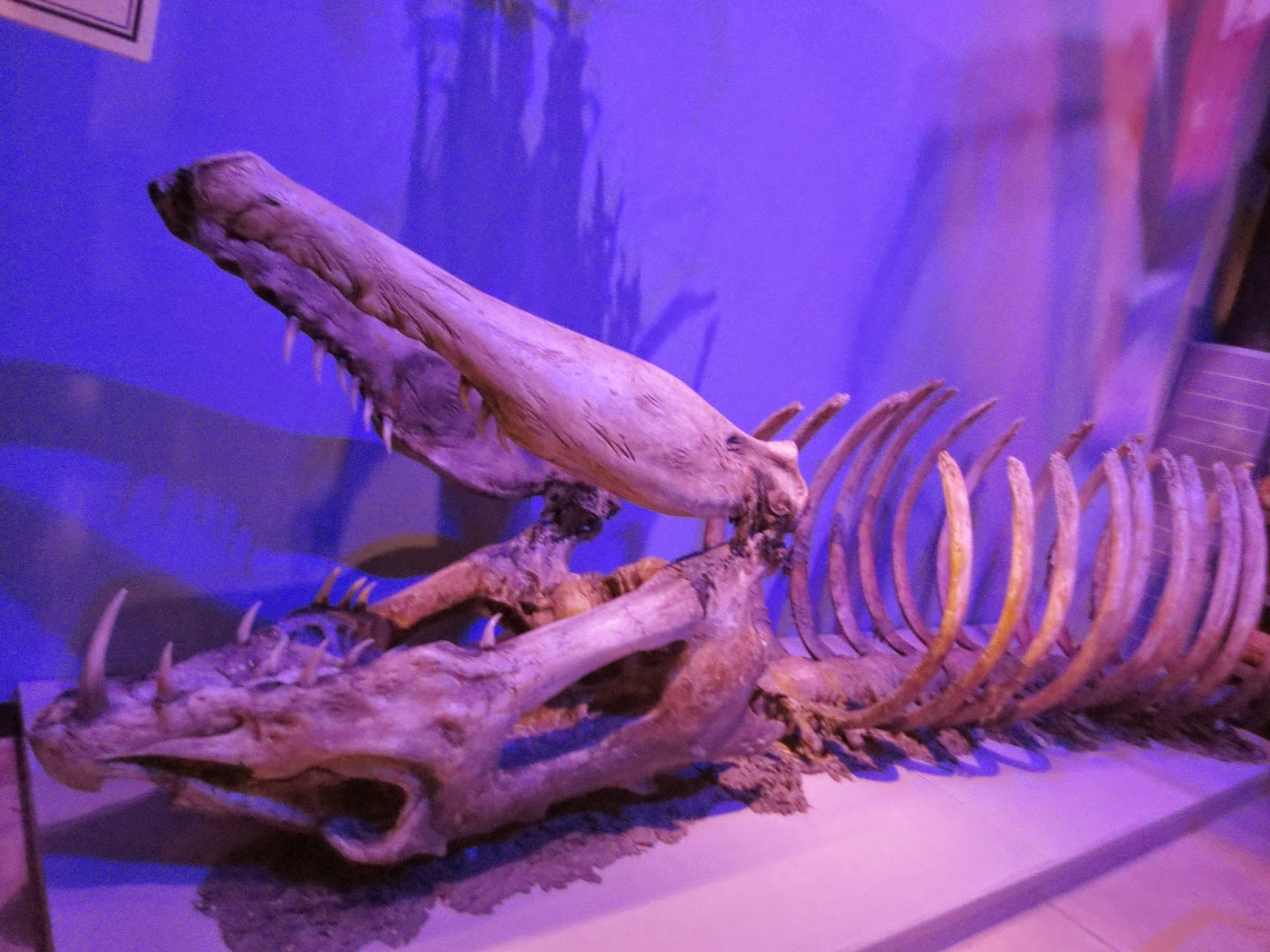 Loving Living in London: Harry Potter Studios Tour!!