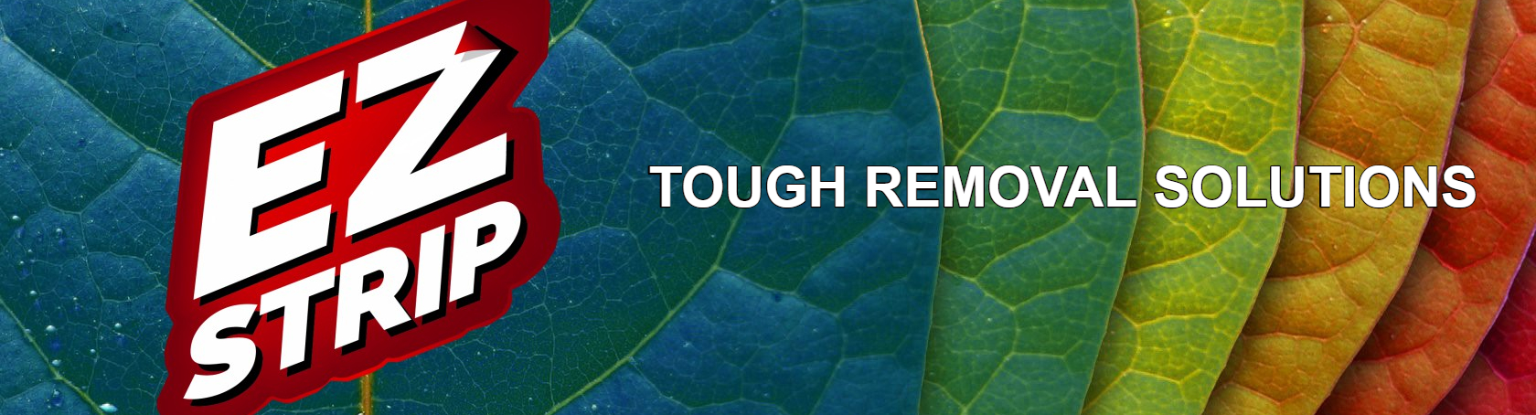 EZ Strip Blog