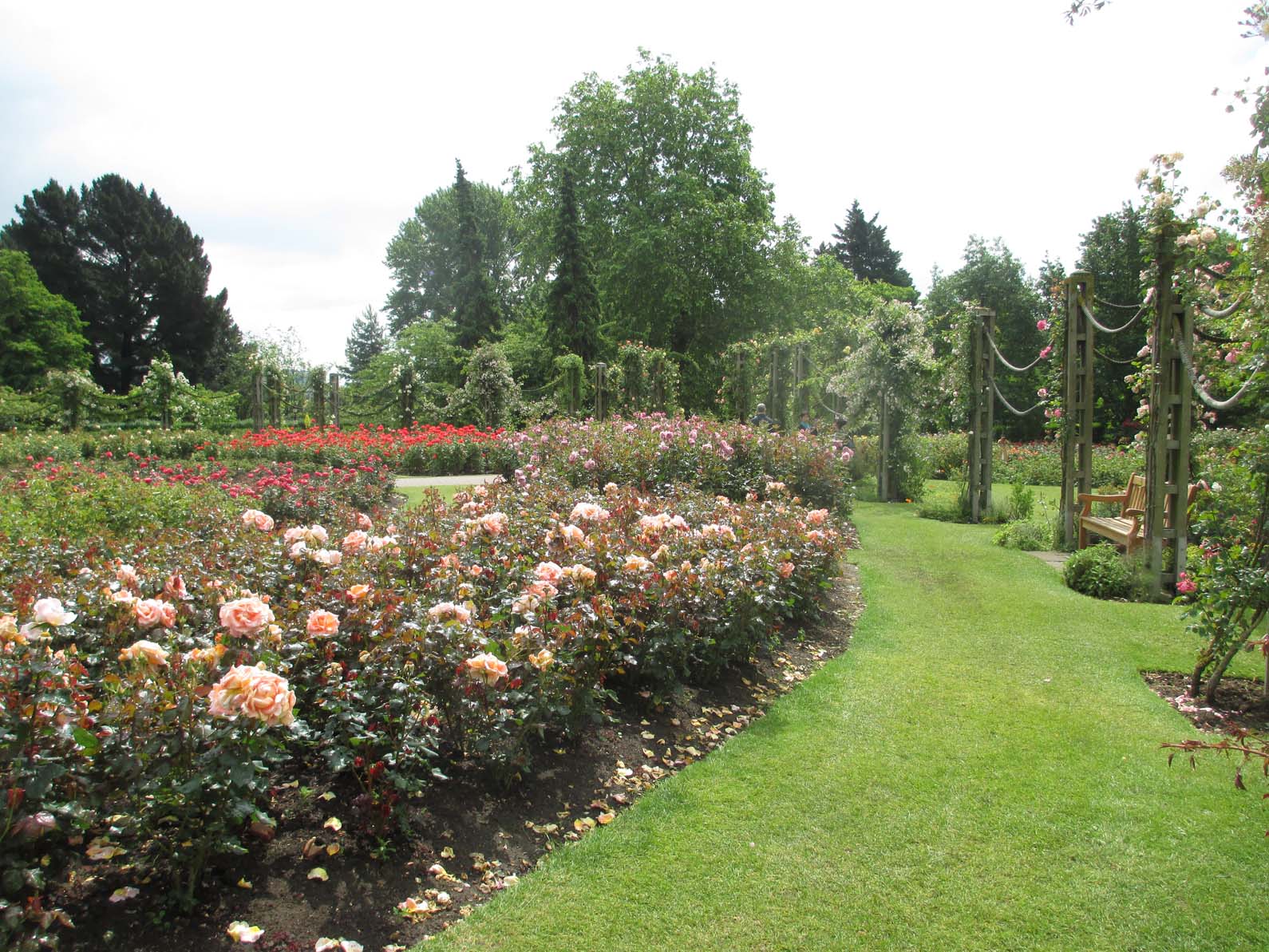 Garden Fancy My English Garden Visits garden-fancy-my-english-garden-visits