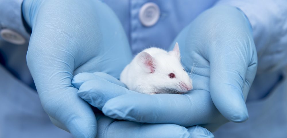 Our Parkinson's Place: New Mouse Model Aids in Study of Alpha-Synuclein ...