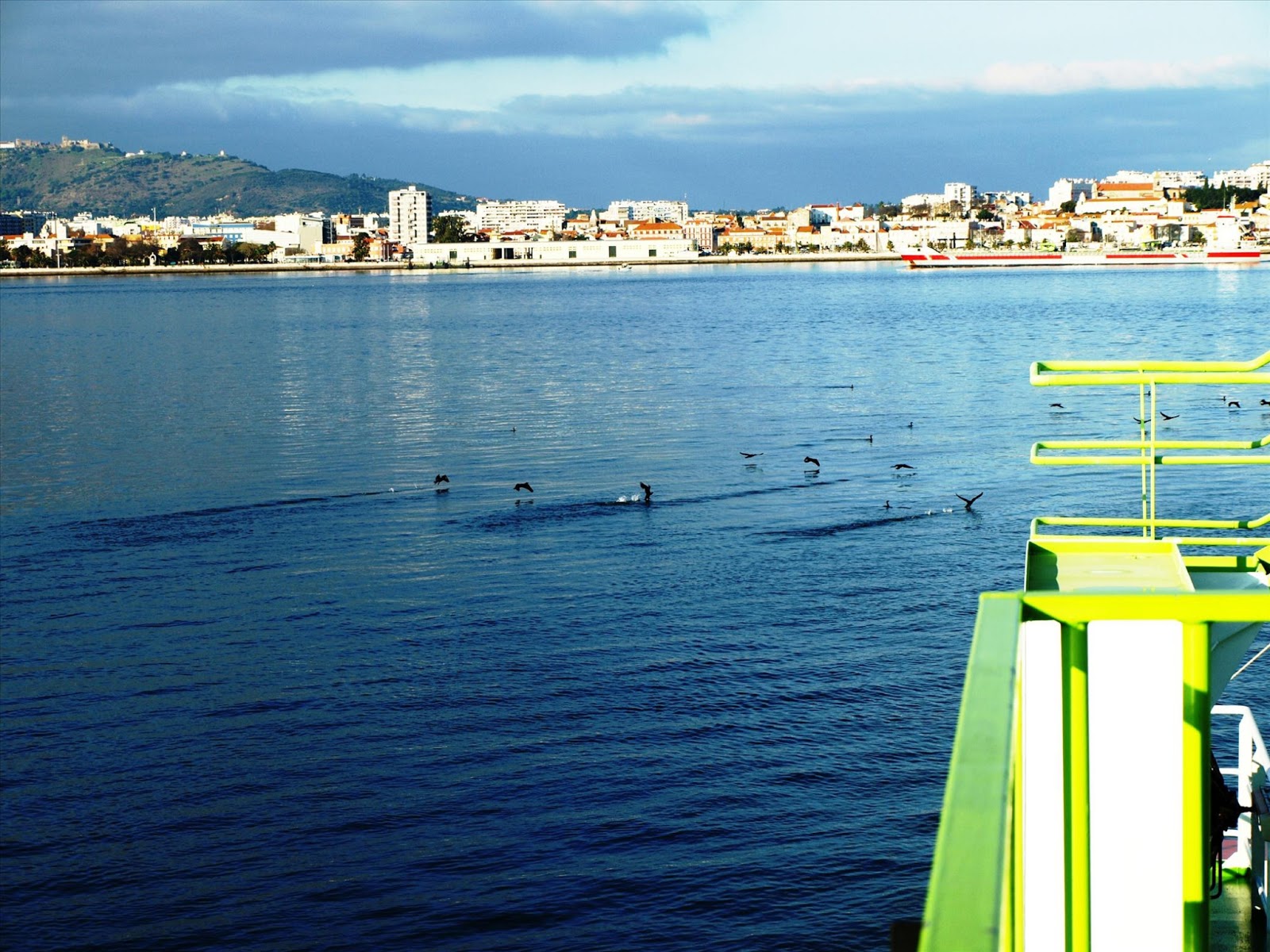 Eu photografei!: Passagem Ferry Boat Troia - Setúbal