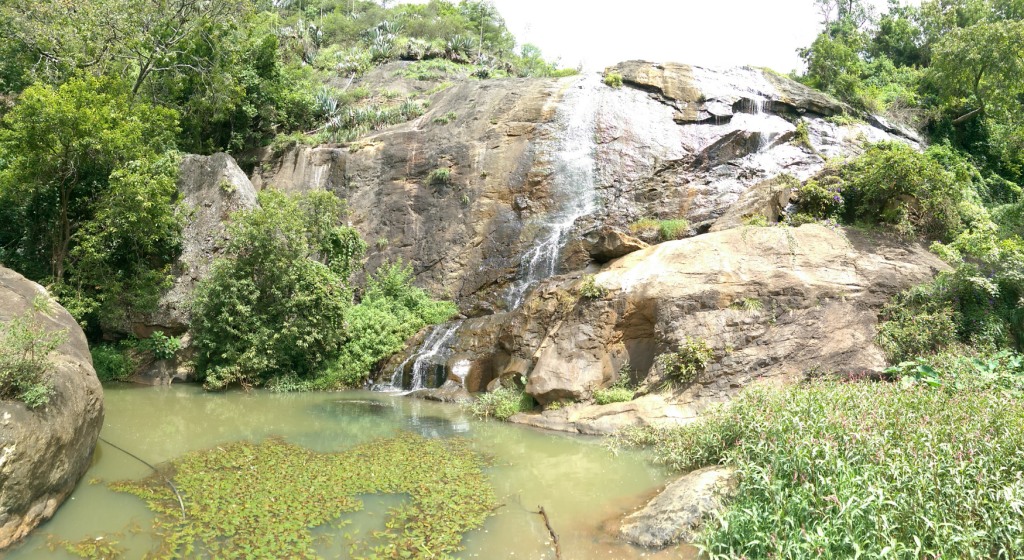 Tamilnadu Tourism: Kalhatti Falls, Ooty, Nilgiris