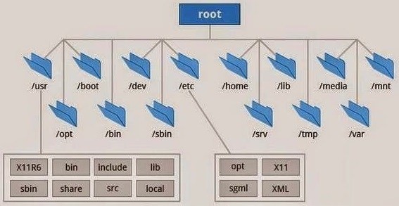 OPERASI FILE DAN STRUKTUR DIREKTORI LINUX OPERASI FILE DAN STRUKTUR DIREKTORI LINUX