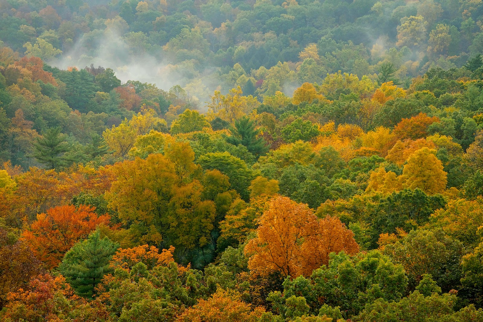 Josh Friedman Photography: Autumn in Bucks County, Pennsylvania: New ...