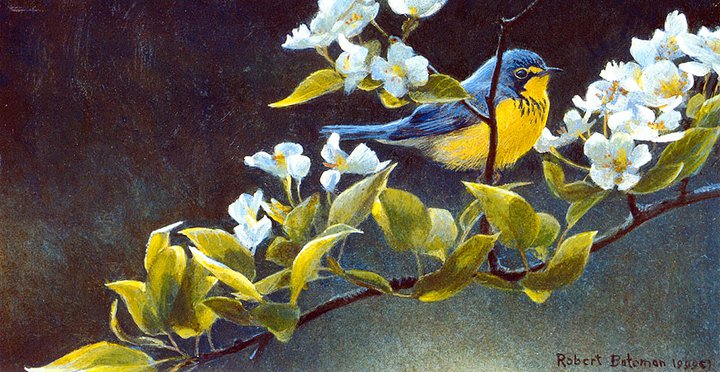 Maher Art Gallery: Robert Bateman paintings