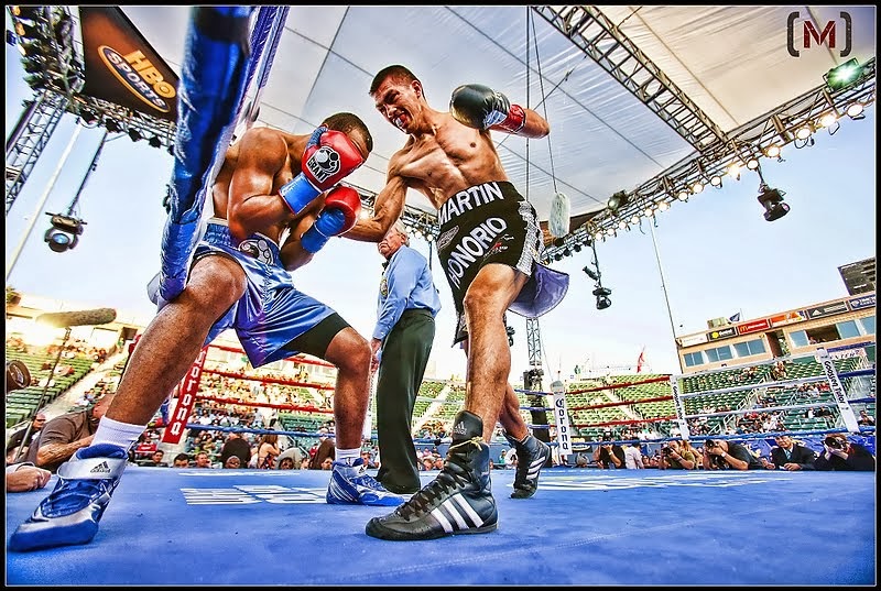 Create Your Special Combinations ~ Boxing Combinations