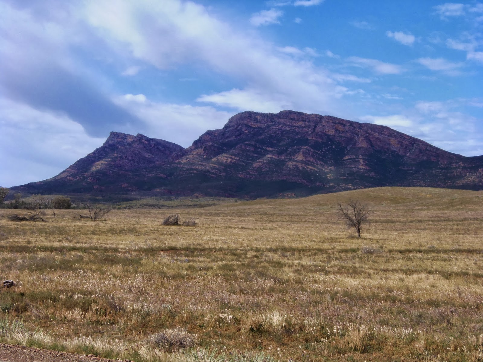 Solo Steve On The Road: BLINMAN, WILPENA POUND and the end of the ...