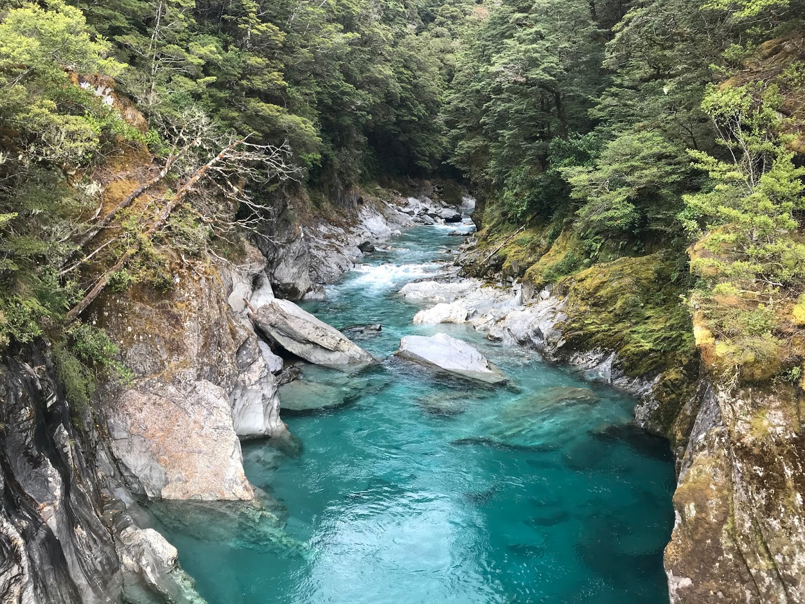 Tales of a Rambling Rover: Day 1: Blue Pools to Young River Campsite