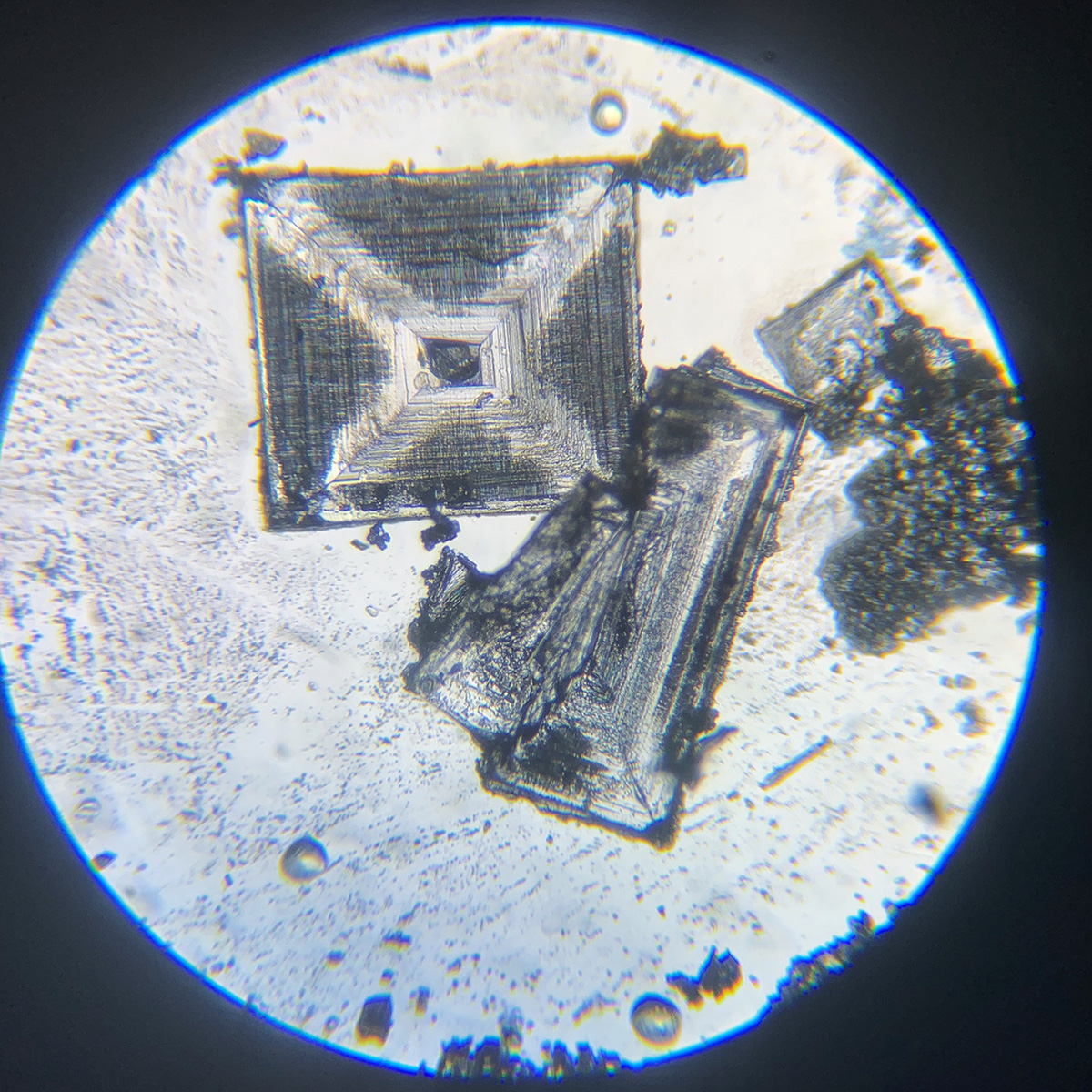 A school of fish: Crystal-Growing Activities