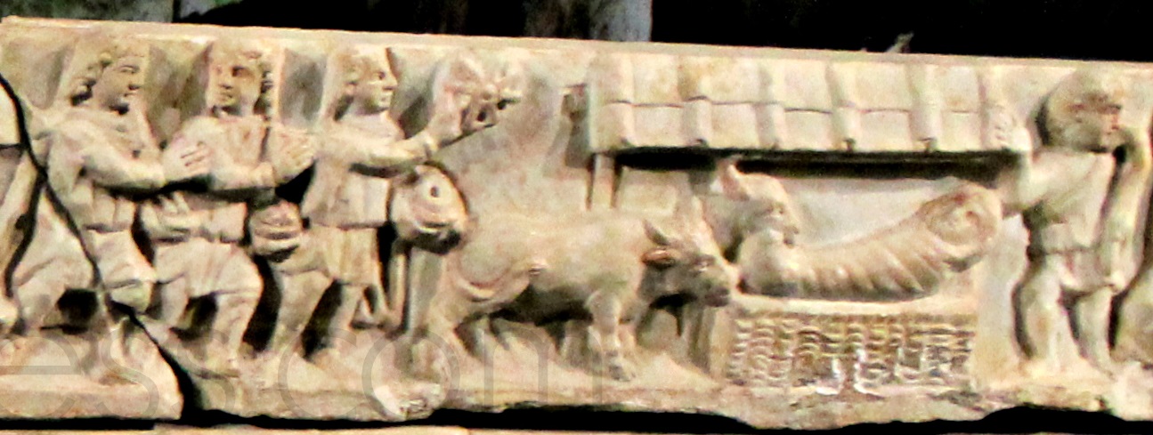 Johann International: Early Depictions of the Nativity