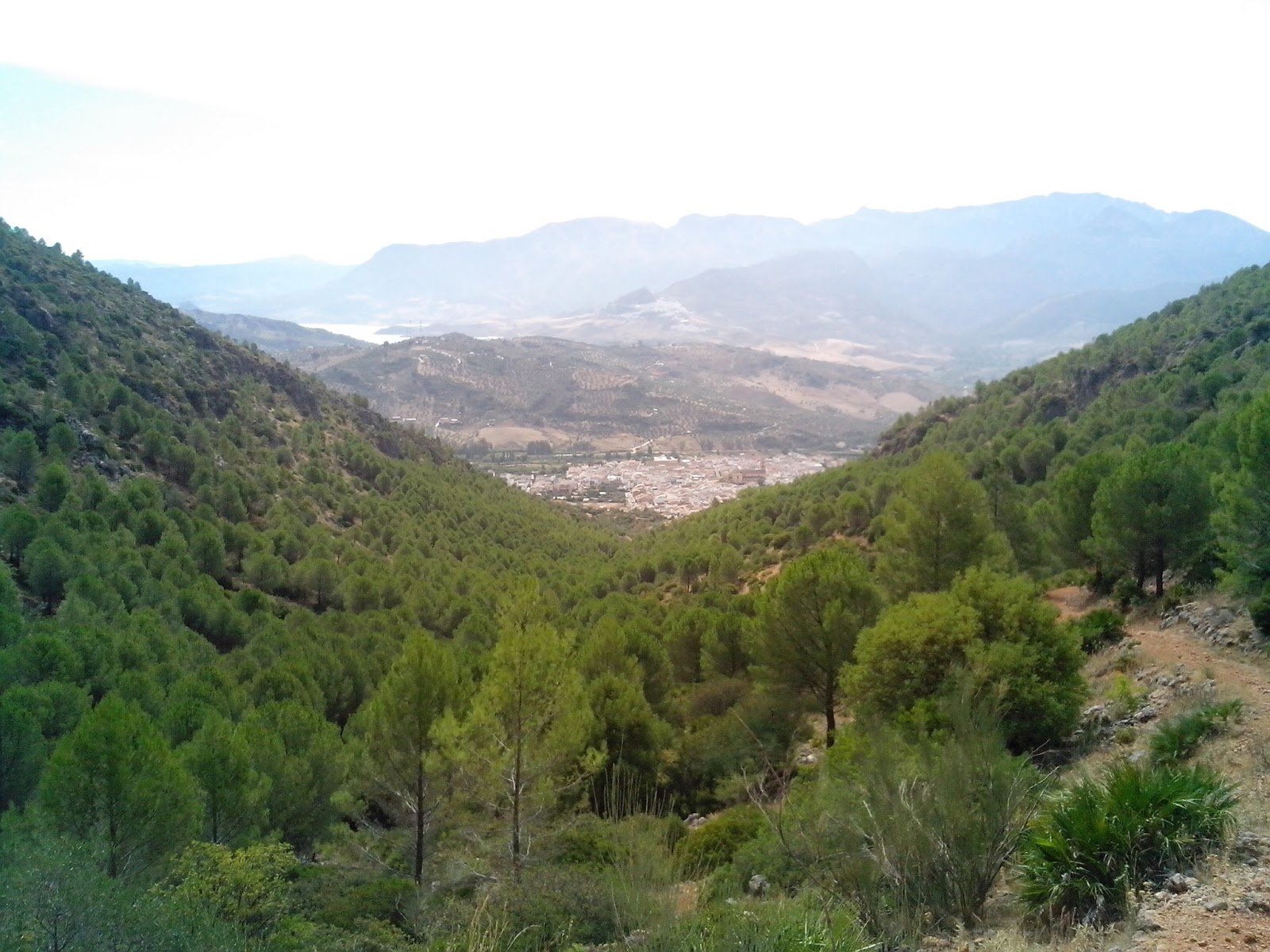 Julio Salas Hernández: Subida al Mogote y un poco de Titán