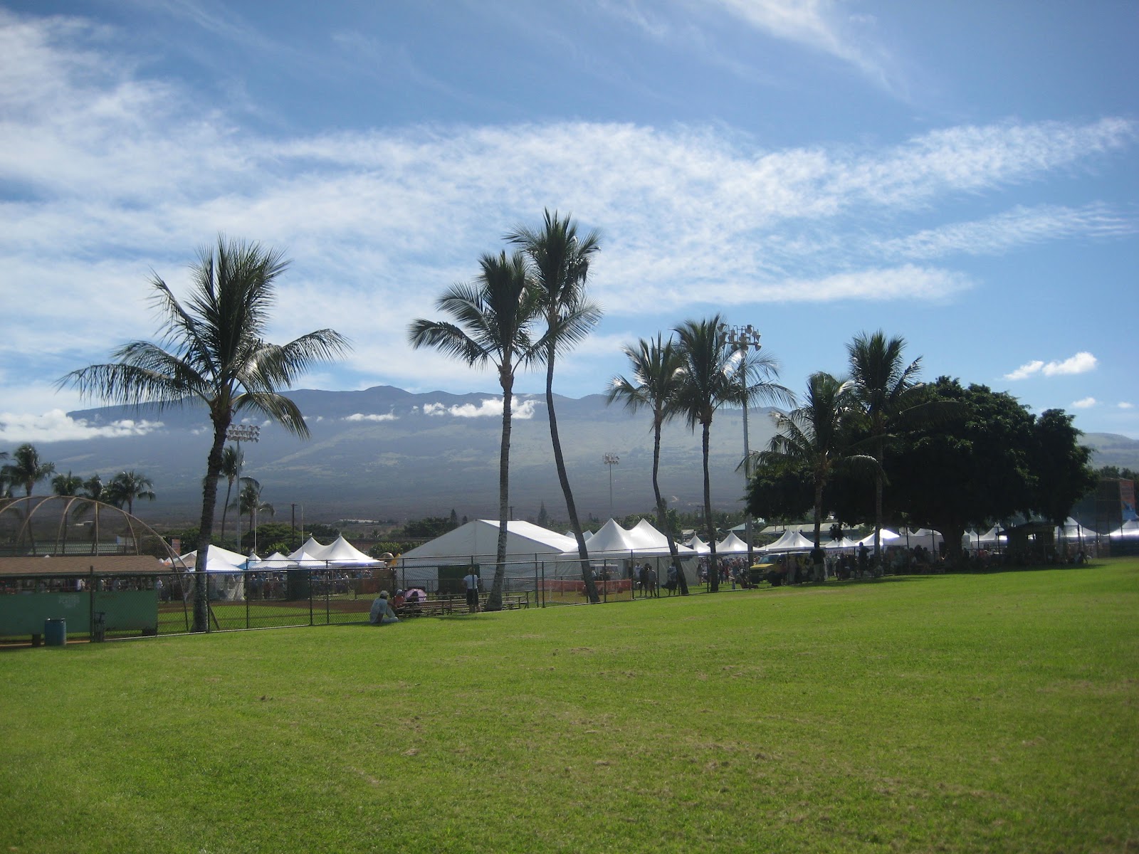 Maui Vacation Guide: World Whale Day in Kalama Park Kihei Maui
