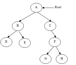 Teknik Informatika - Struktur Data: Pertemuan 4-Introduction to Tree ...