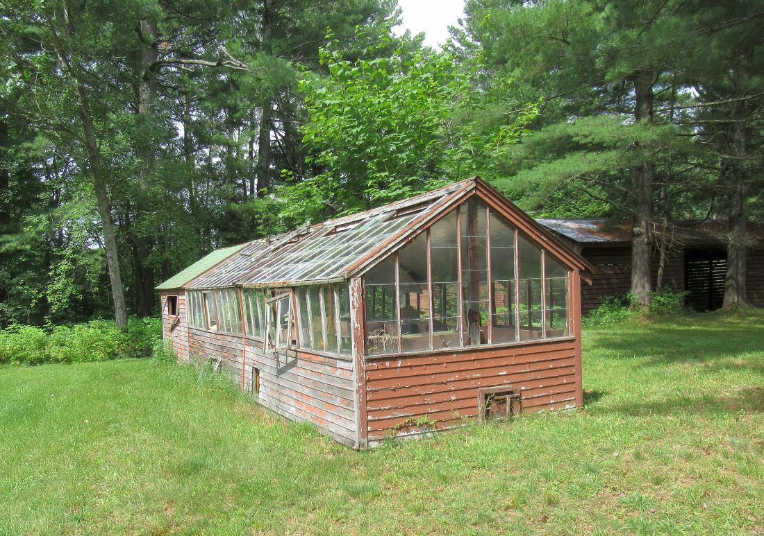 Windswept Adventure: Wonderful Debar Pond - Part 1