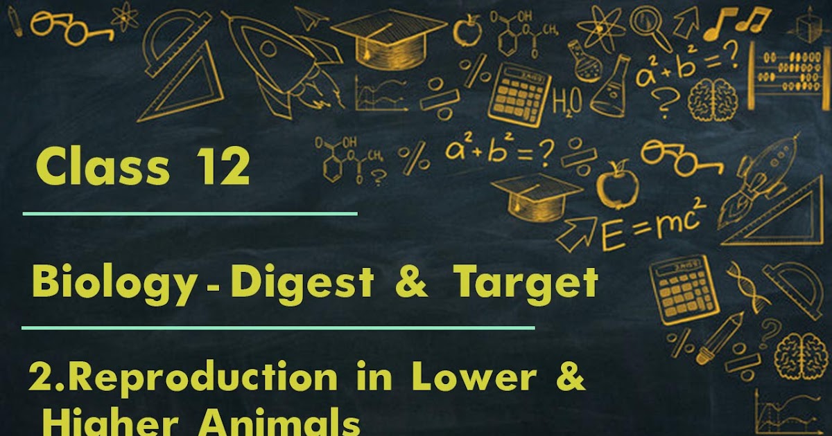 Reproduction in Lower & Higher Animals: Reference Notes (Class 12 ...