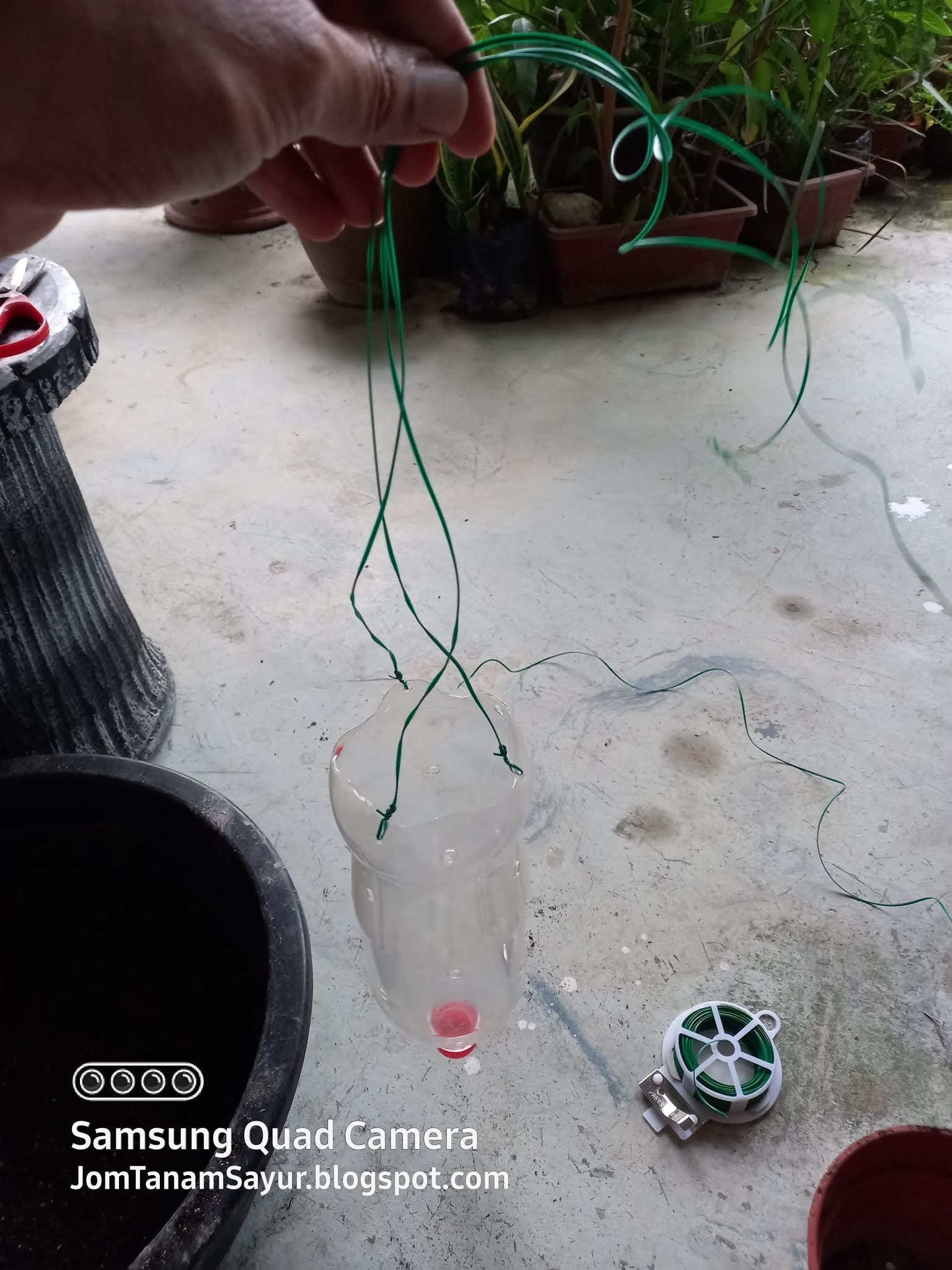 Jom Tanam Sayur ( JTS ) : DIY : Pasu Gantung Pokok Bunga dari Botol ...